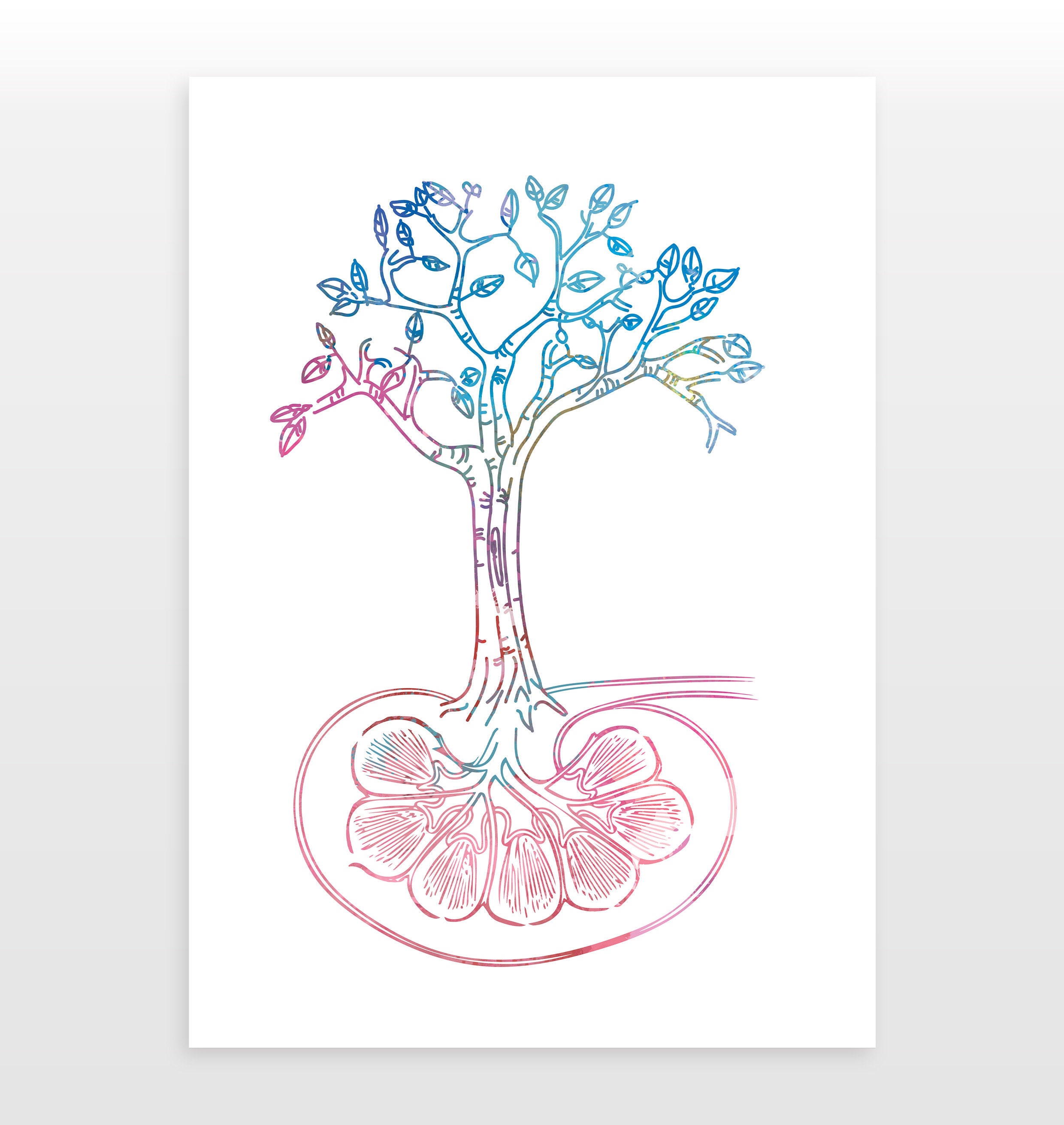 Human Kidney Poster - Tree Print - Watercolour Print - Etsy