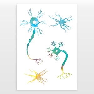 Brain Neuron Poster Watercolour Print - Etsy