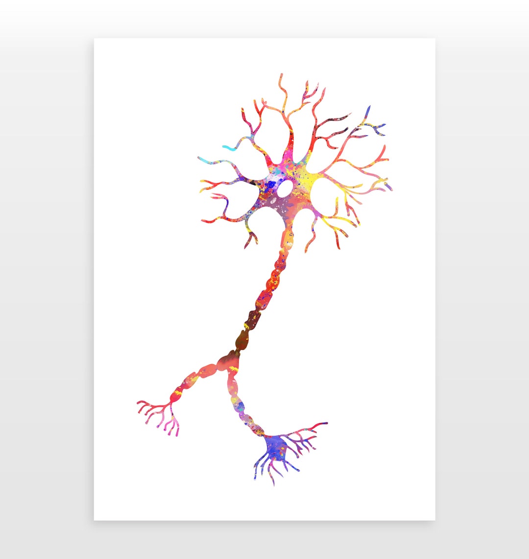 Brain Synapse Poster - Watercolour Print - Etsy