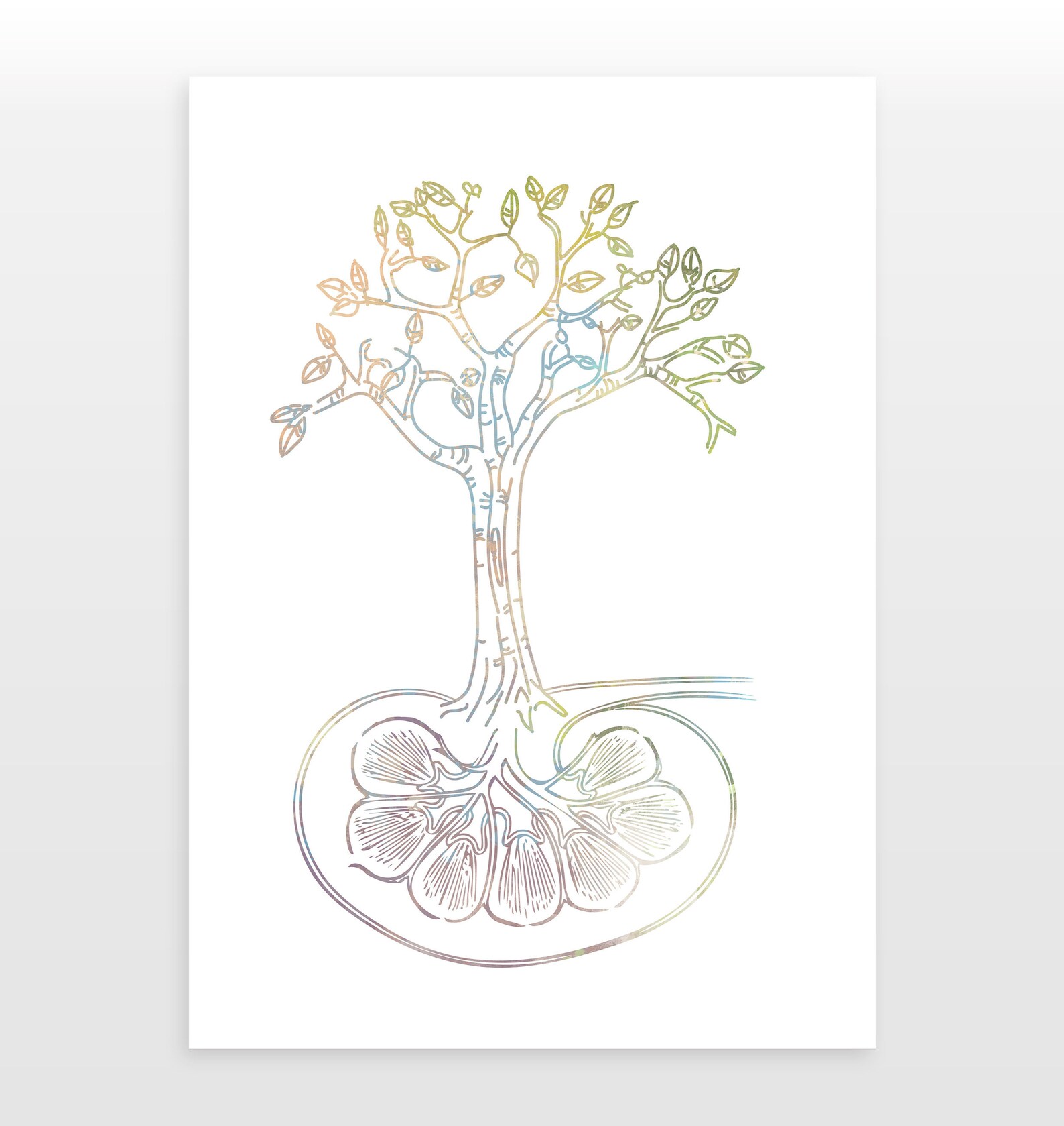 Human Kidney Poster - Tree Print - Watercolour Print - Etsy