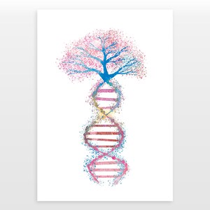 DNA Tree of Life Poster - Human Genetics Print - Watercolour Print - Etsy