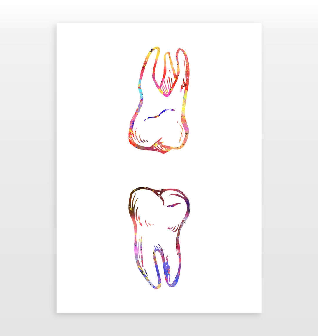 Molar Teeth Poster - Dental Print - Watercolour Print - Etsy