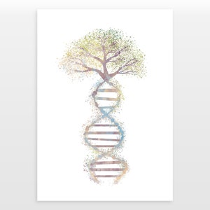 DNA Tree of Life Poster - Human Genetics Print - Watercolour Print - Etsy