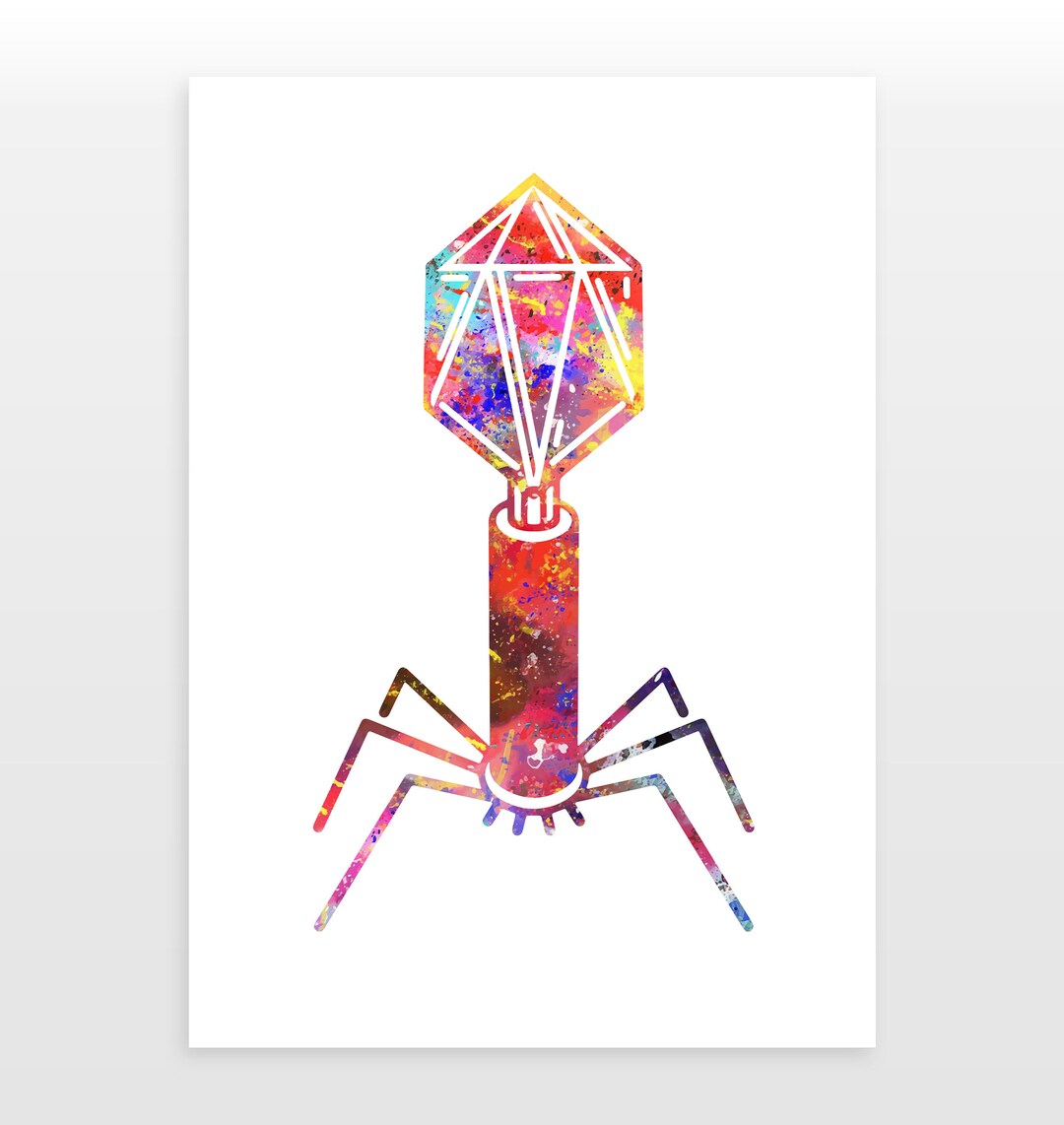Bacteriaphage Poster - Biological Science Print - Watercolour Print - Etsy