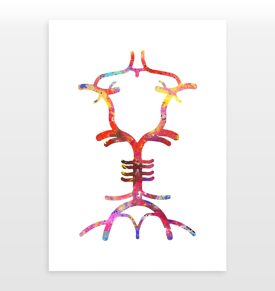 Circle of Willis Poster - Brain Print - Watercolour Print - Etsy