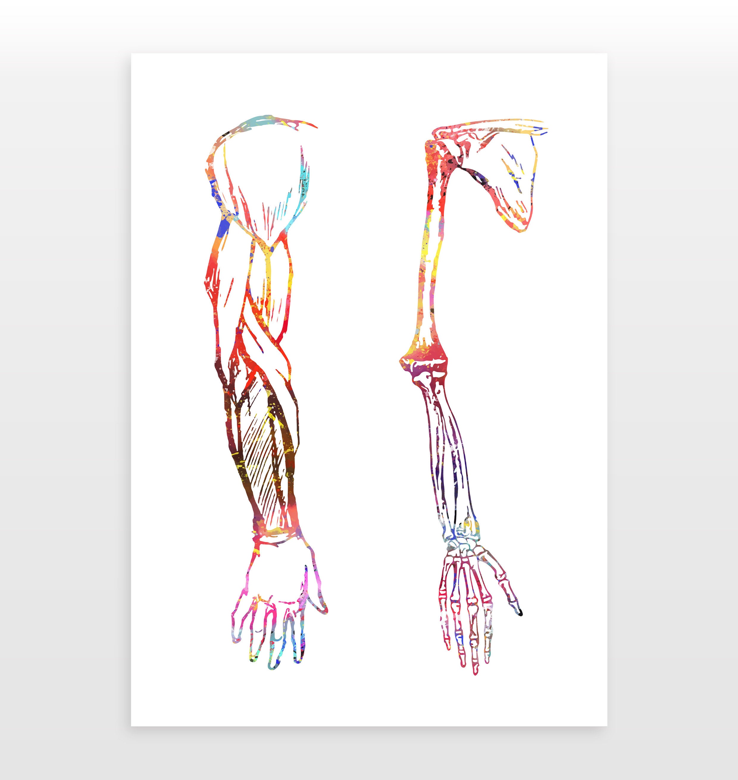 Printable Skeleton Arms