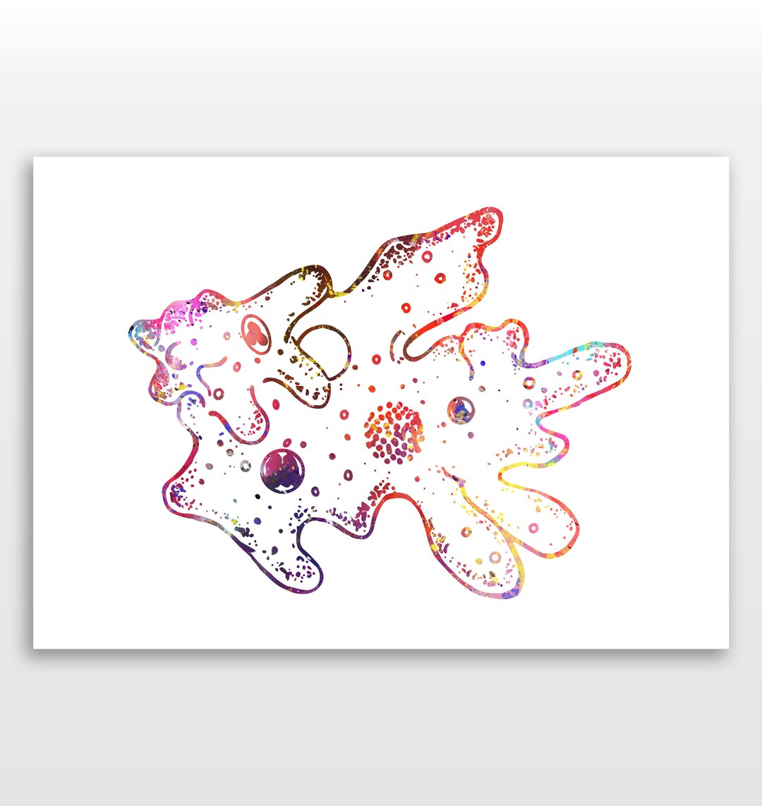Amoeba Poster - Biologist Print - Watercolour Print - Etsy