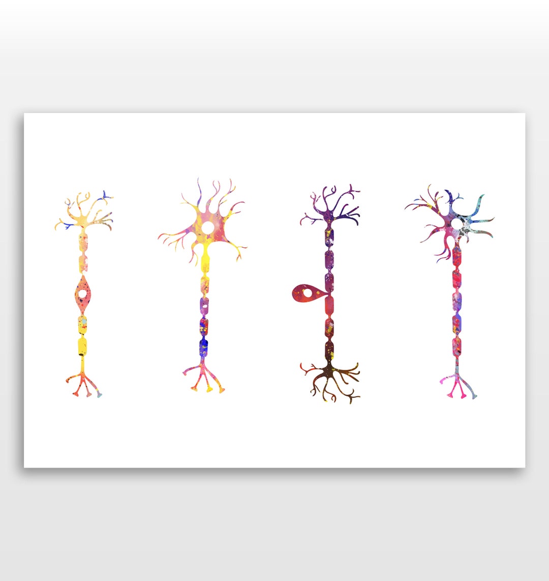 Brain Neuron Poster Watercolour Print - Etsy