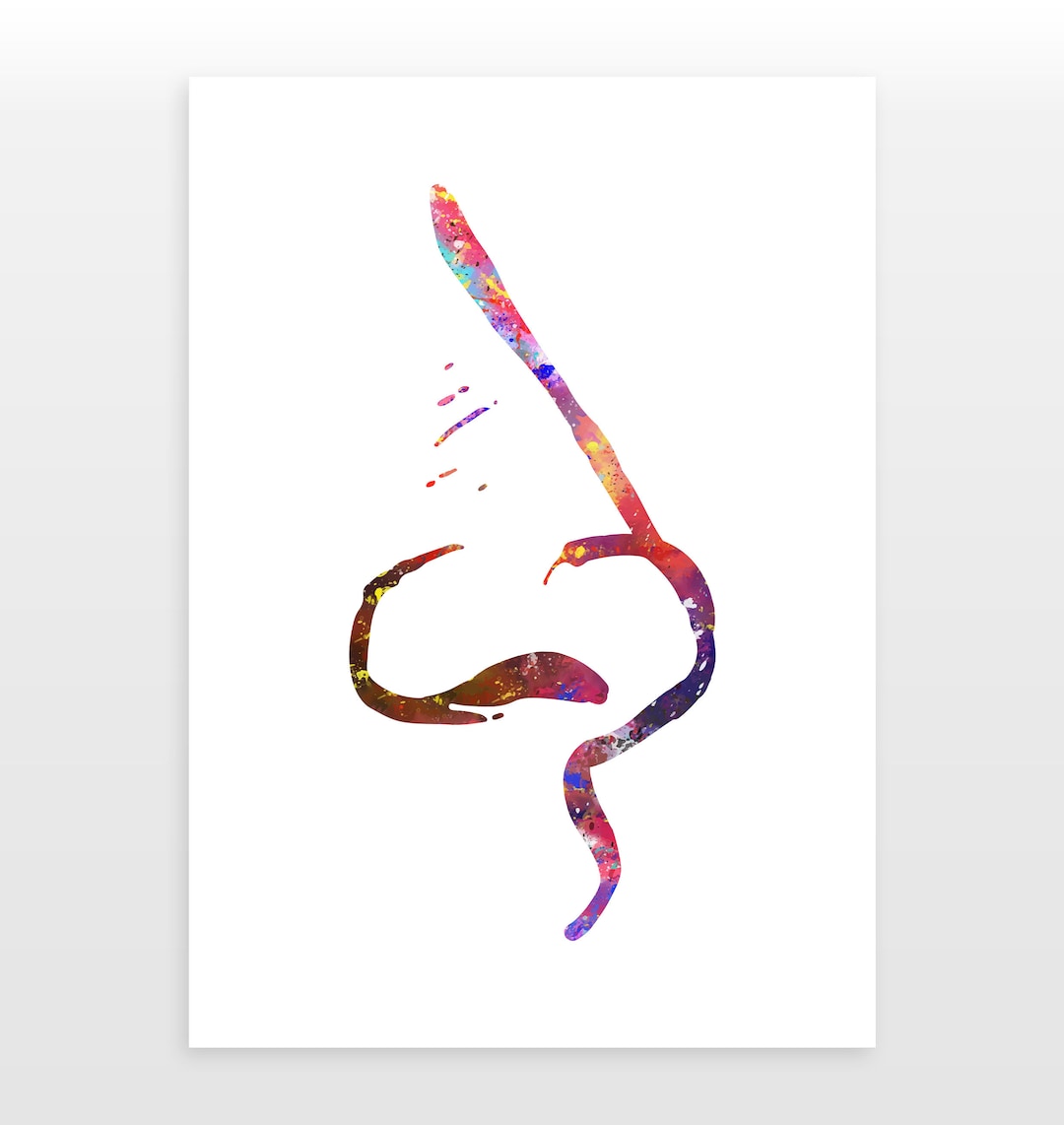 Human Nose Poster - Human Anatomy Print - Watercolour Print - Etsy
