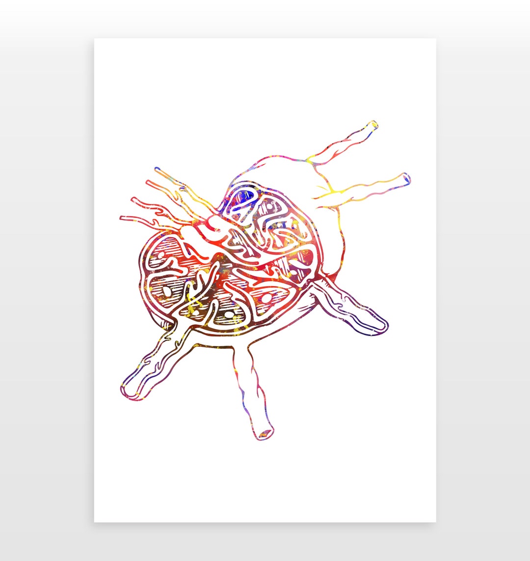 Lymph Node Poster - Watercolour Print - Etsy