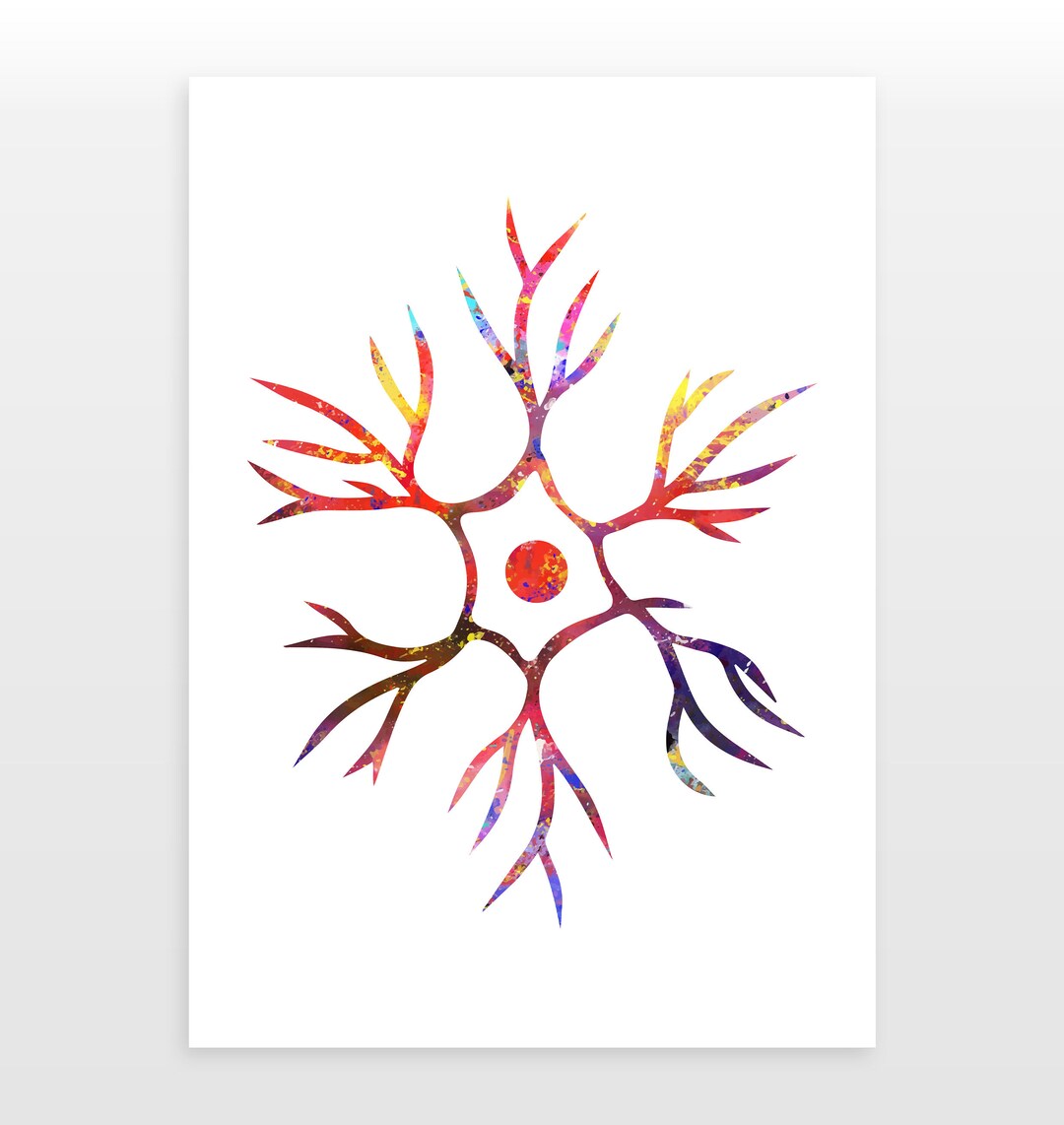 Brain Neuron Poster - Watercolour Print - Etsy