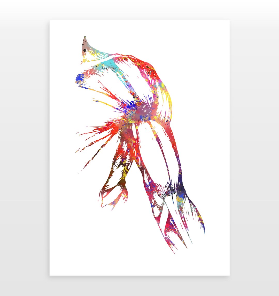 Arm Muscles Poster Watercolour Print - Etsy