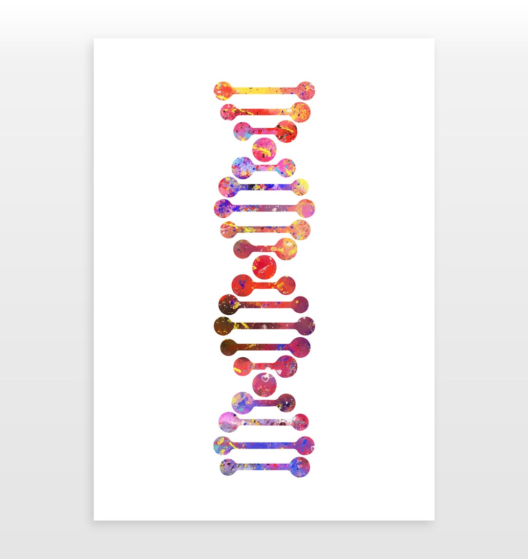 DNA Poster - Human Genetics Print - Watercolour Print - Etsy