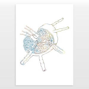 Lymph Node Poster - Watercolour Print - Etsy
