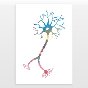 Brain Synapse Poster - Watercolour Print - Etsy