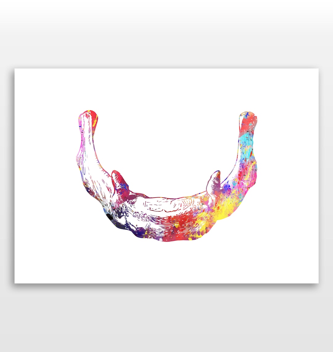 Hyoid Bone Poster - Neck Bone Print - Watercolour Print - Etsy