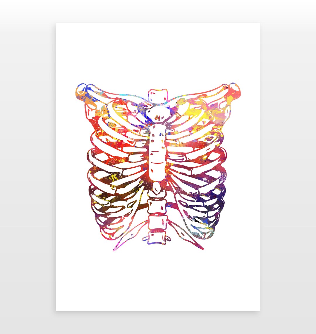 Skeletal Chest Poster - Watercolour Print - Etsy