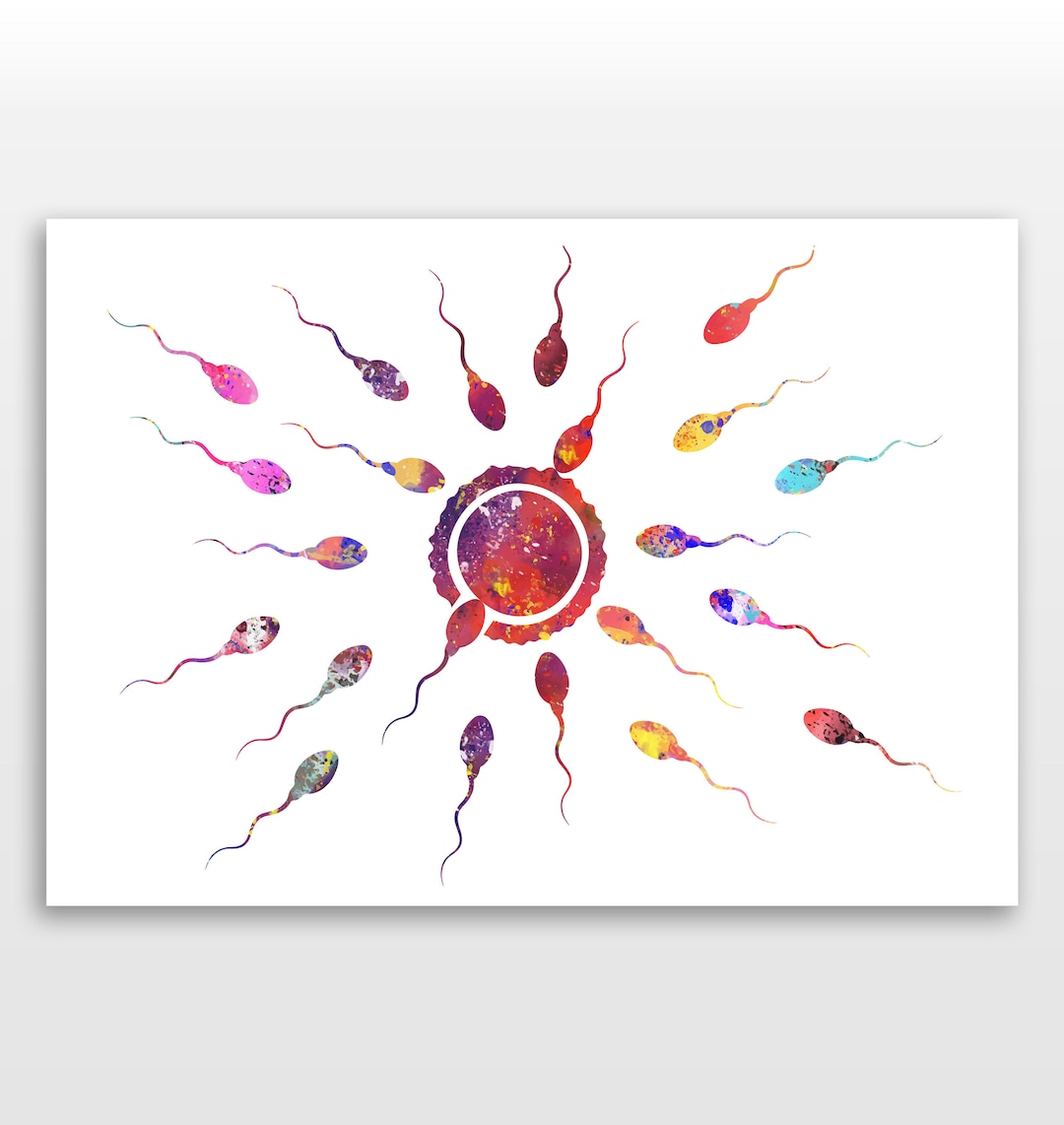 Egg Fertilization Poster - Biological Science Print - Watercolour Print ...