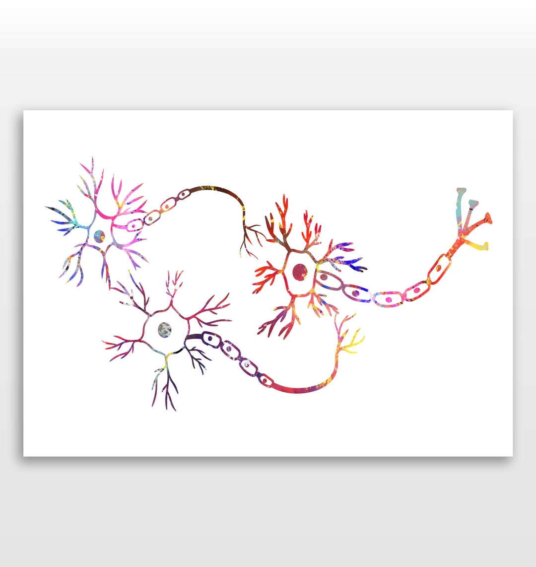 Brain Neuron Connection Poster - Watercolour Print - Etsy