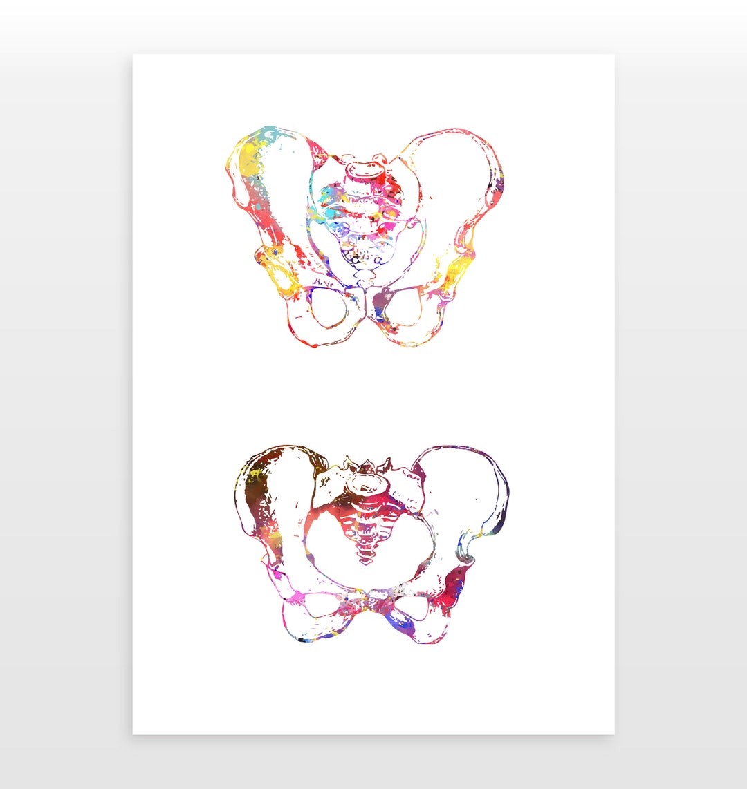 Pelvis Bone Poster - Osteology Print - Watercolour Print - Etsy