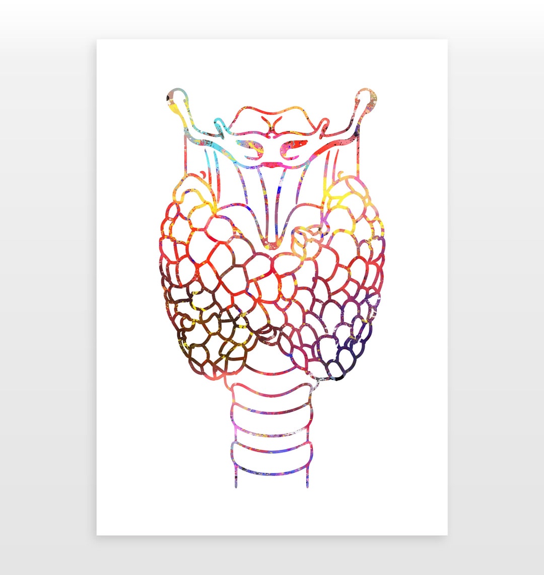 Human Throat Thyroid Poster - Human Anatomy Print - Watercolour Print ...
