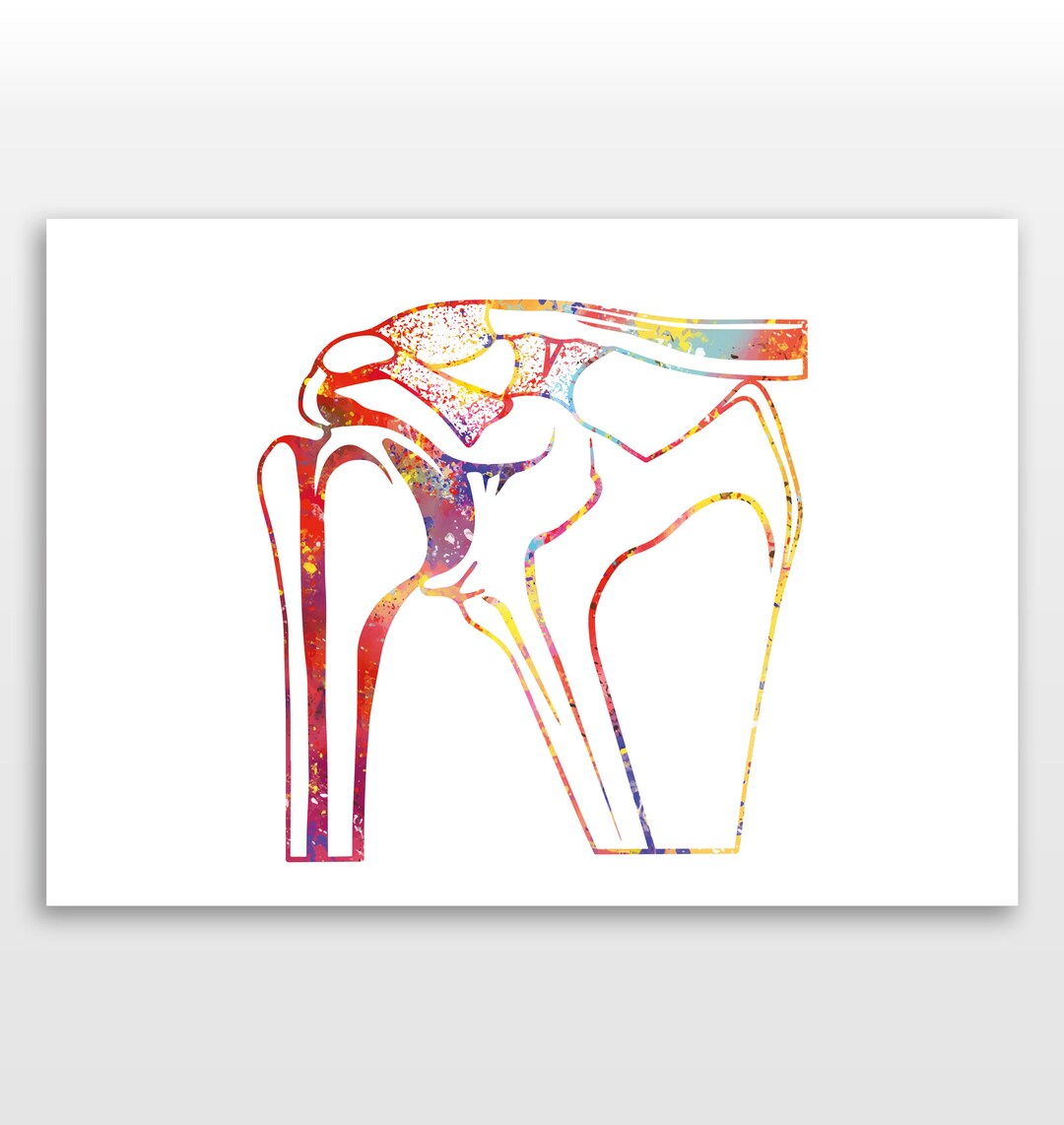 Shoulder Joint Poster - Watercolour Print - Etsy