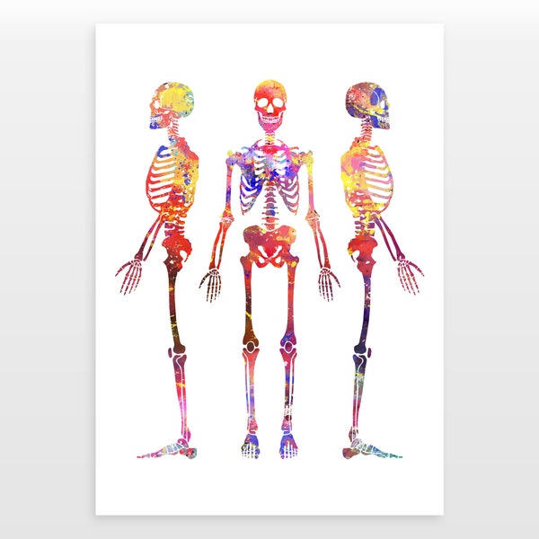 Skeleton Poster - Etsy UK