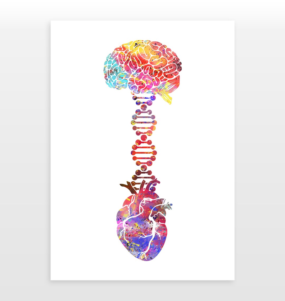 Heart, Brain and DNA Poster - Tree of Life Print - Watercolour Print - Etsy