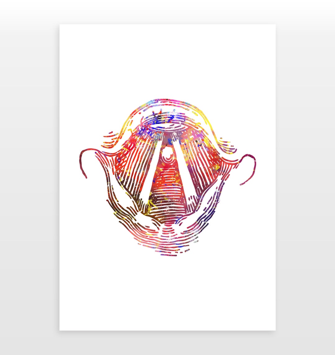 Human Mouth Poster - Dental Print - Watercolour Print - Etsy
