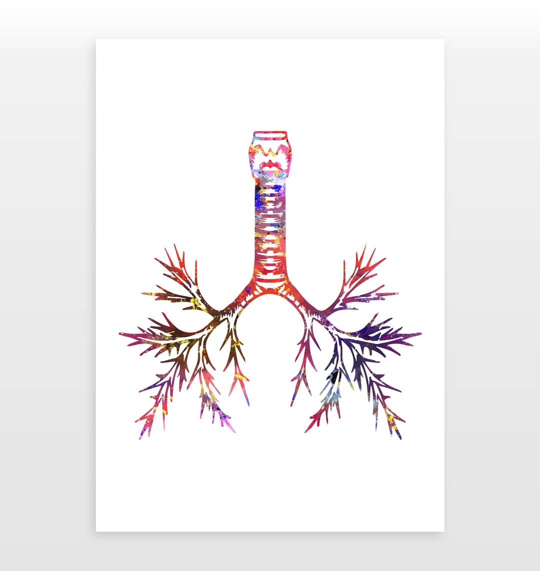 Trachea Poster - Trachea Print - Watercolour Print - Etsy