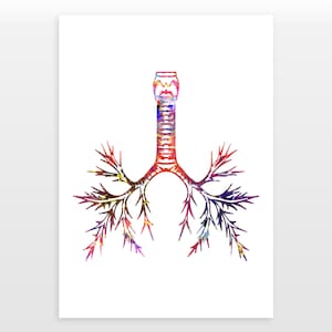 Trachea Poster - Trachea Print - Watercolour Print - Etsy
