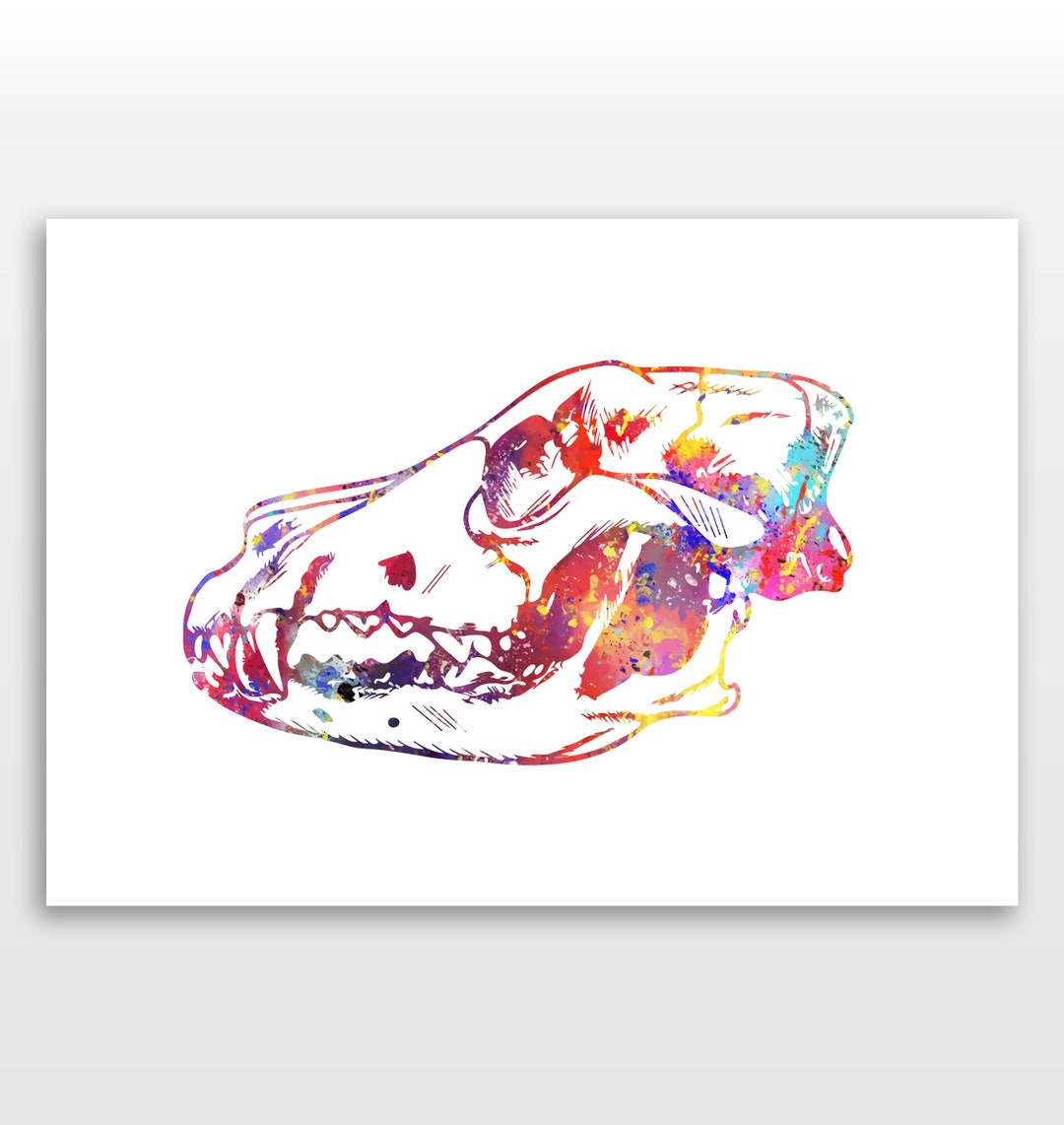 Dog Skull Poster - Zooarchaeology Print - Watercolour Print - Etsy