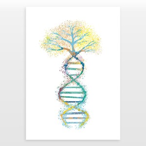 DNA Tree of Life Poster - Human Genetics Print - Watercolour Print - Etsy