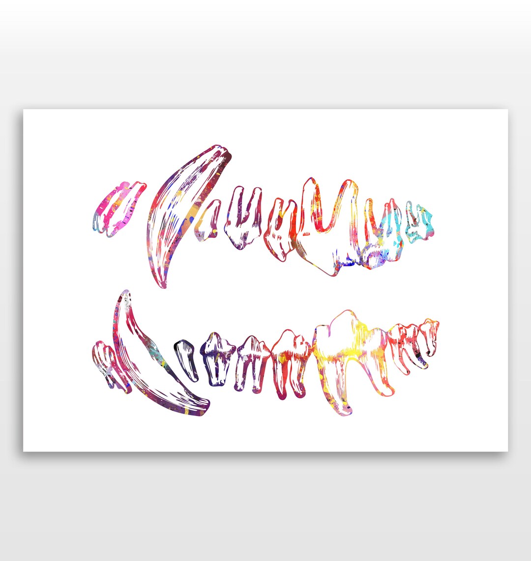 Set of Dog Teeth Poster - Animal Dentistry Print - Watercolour Print - Etsy