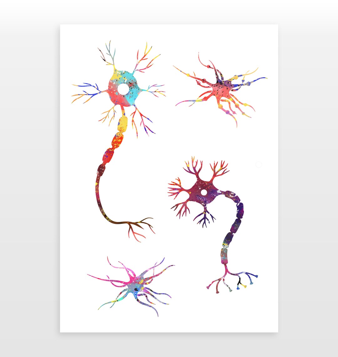 Brain Neuron Poster - Watercolour Print - Etsy