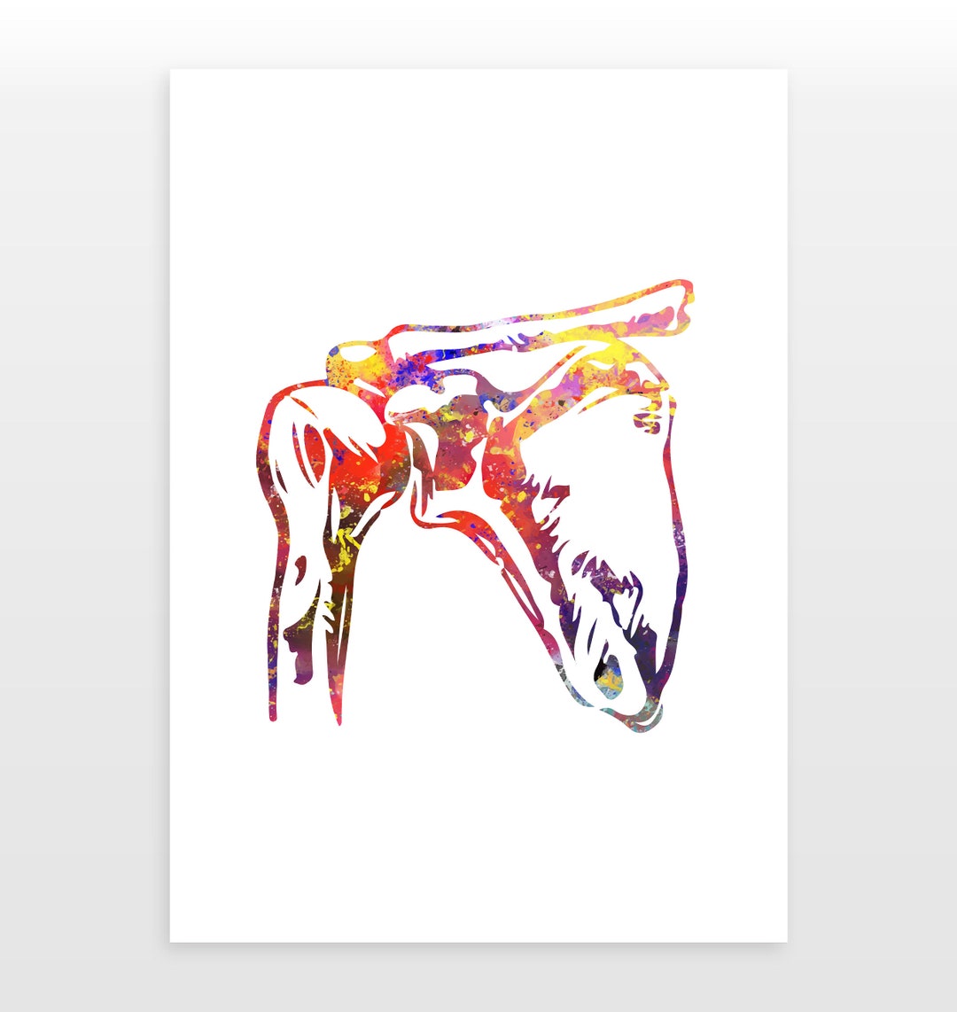 Shoulder Joint Poster - Watercolour Print - Etsy