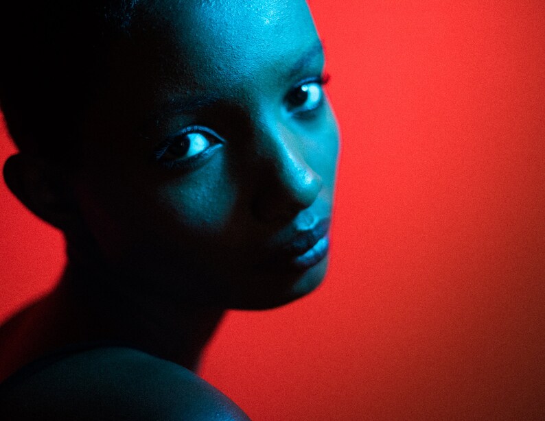 Shasta Wonder art model 8x12 archival photo | Etsy