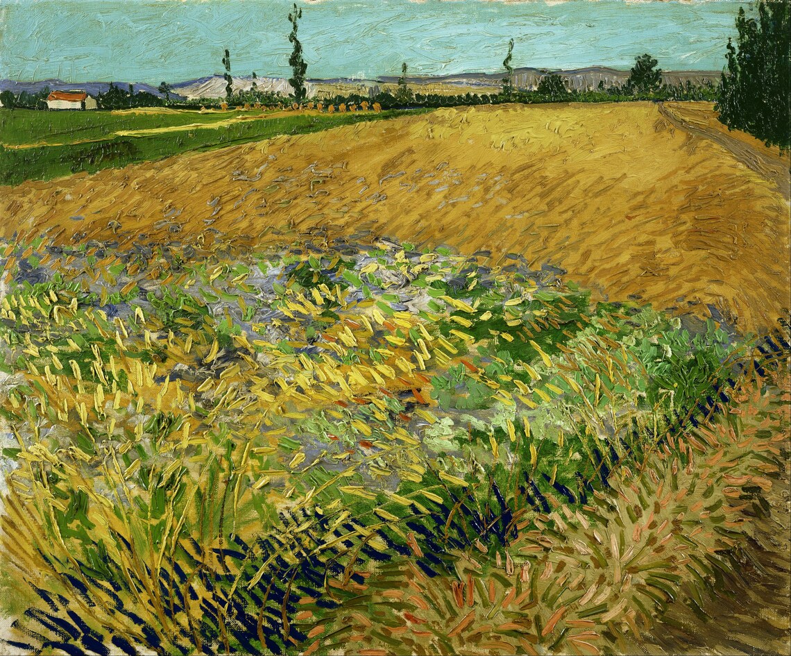 Vincent Van Gogh Wheatfield 1888, High Quality Hand Painted Oil ...