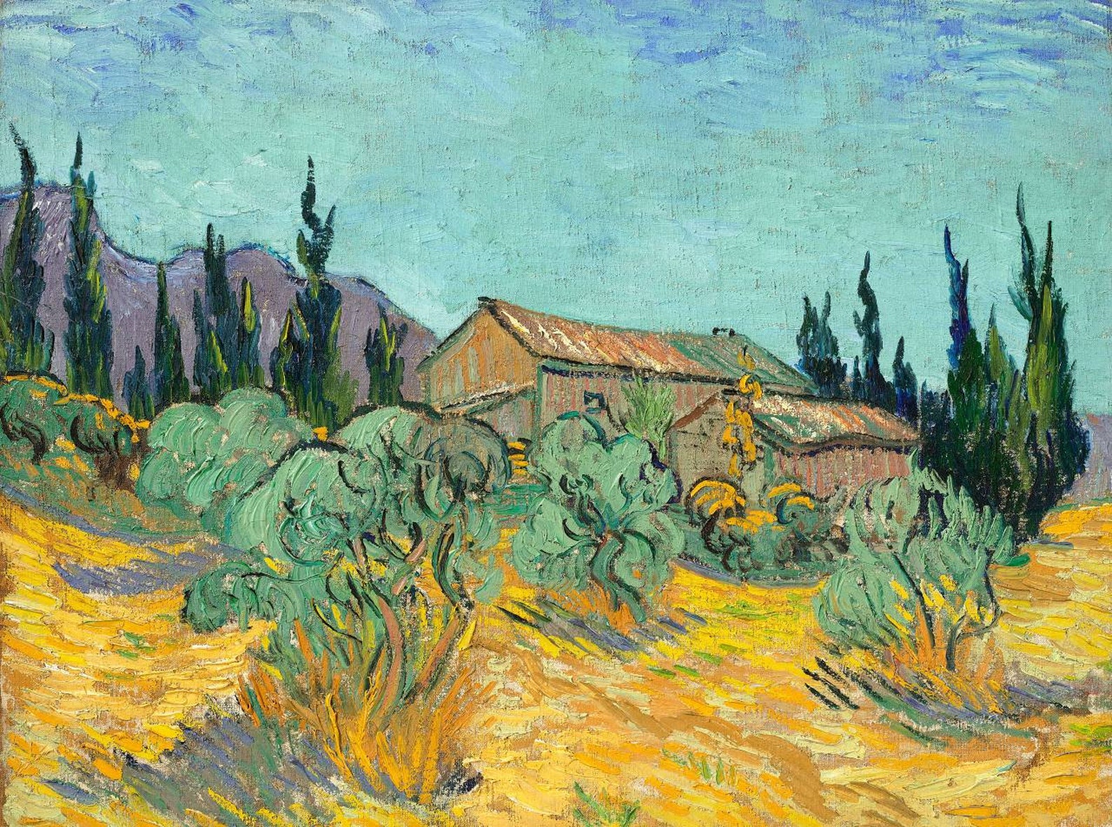 Vincent Van Gogh Wooden Sheds huts Surrounded by Olive Trees and ...