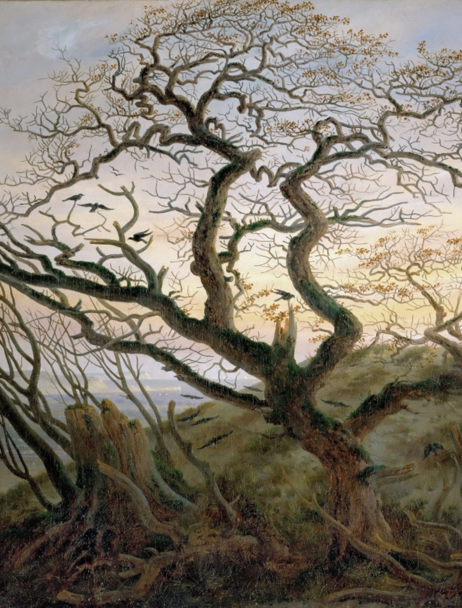 Caspar David Friedrich the Tree of Crows 1822, High Quality Hand ...