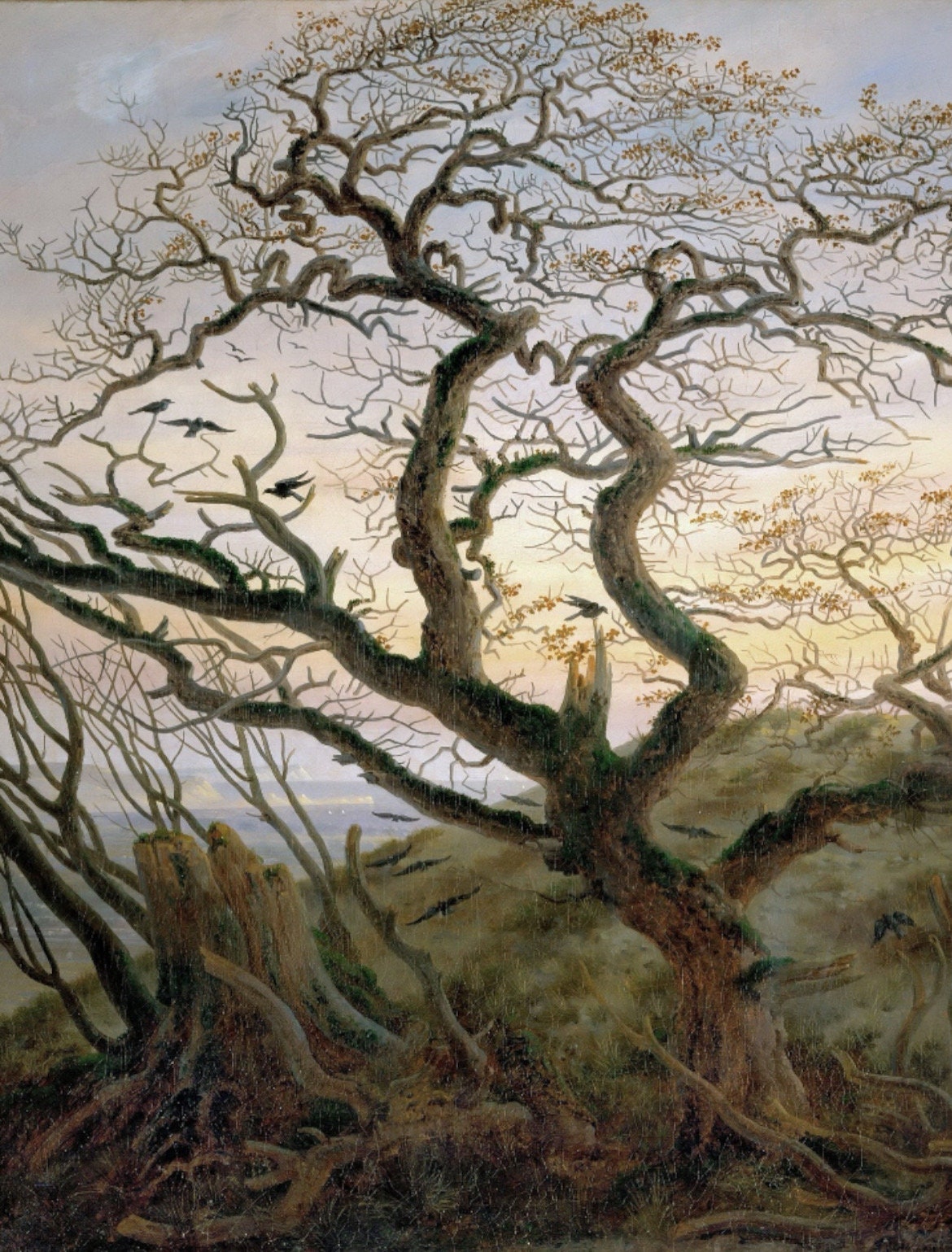 Caspar David Friedrich the Tree of Crows 1822, High Quality Hand ...
