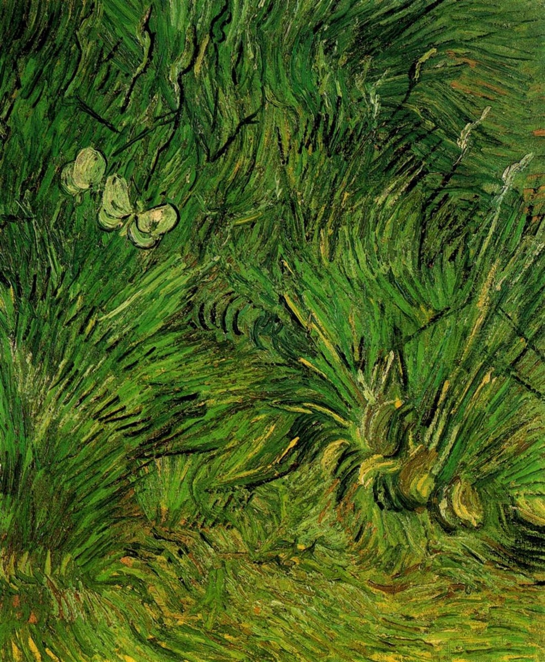 Vincent Van Gogh Garden With Butterflies 1889, High Quality Hand ...