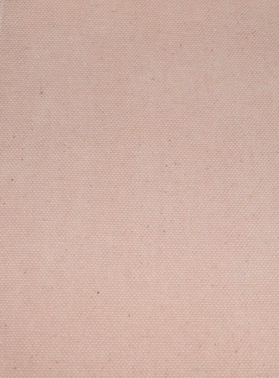 Pale Salmon Pink Color