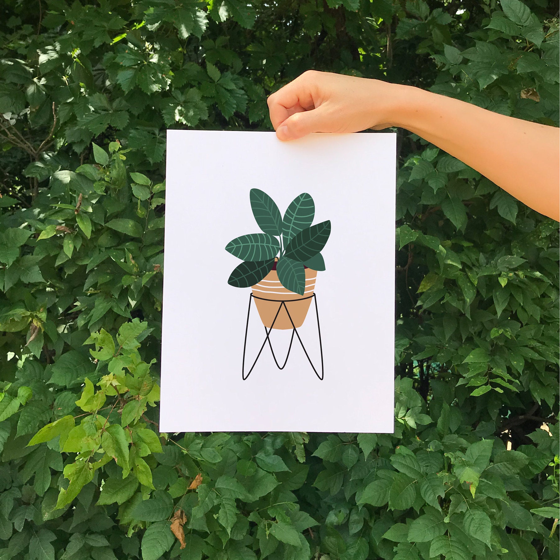 Plant Art Print Set of 3 Botanical Print Set Potted Plant | Etsy