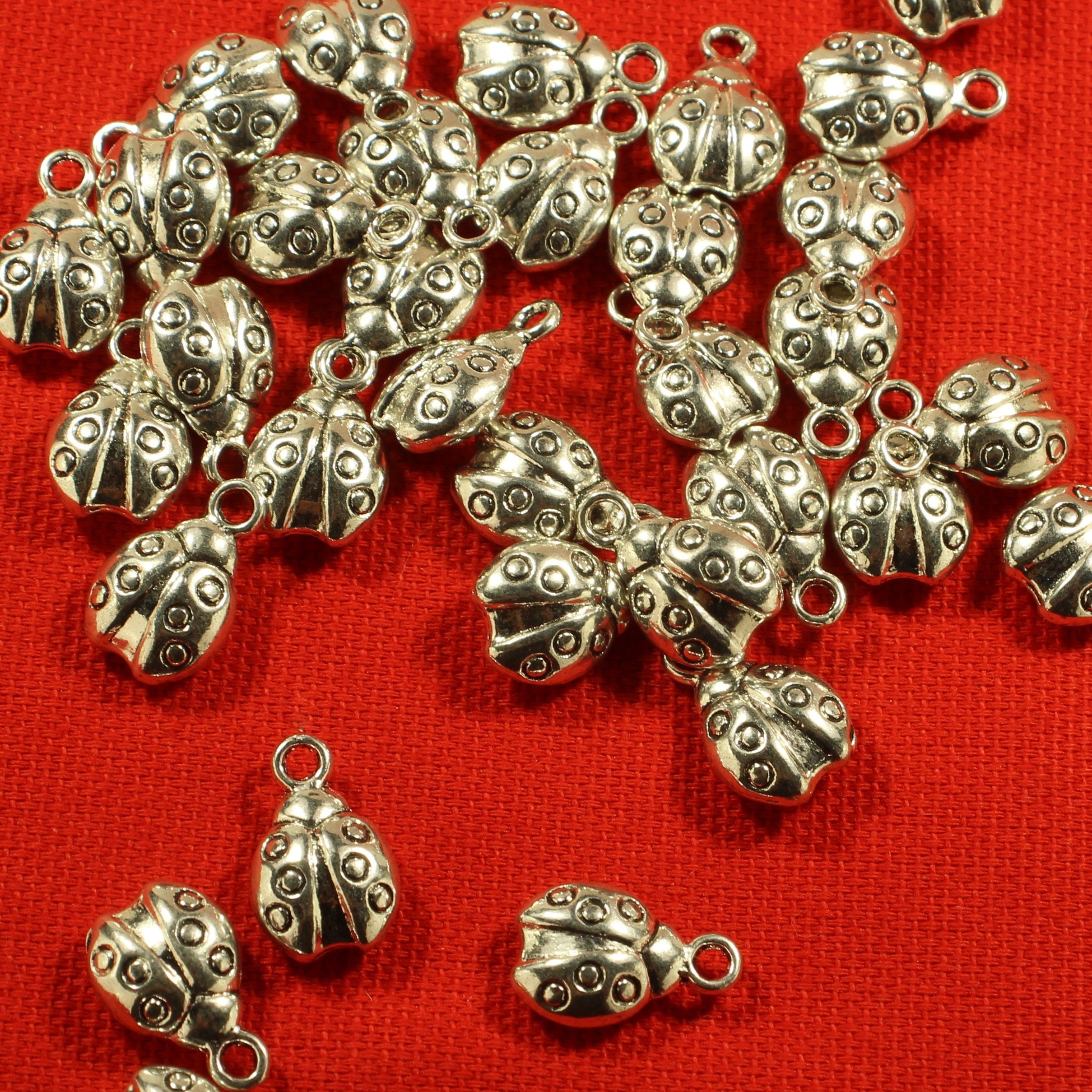 Ladybug 15mm Antique Silver Tone Double Sided Gardening Insect | Etsy