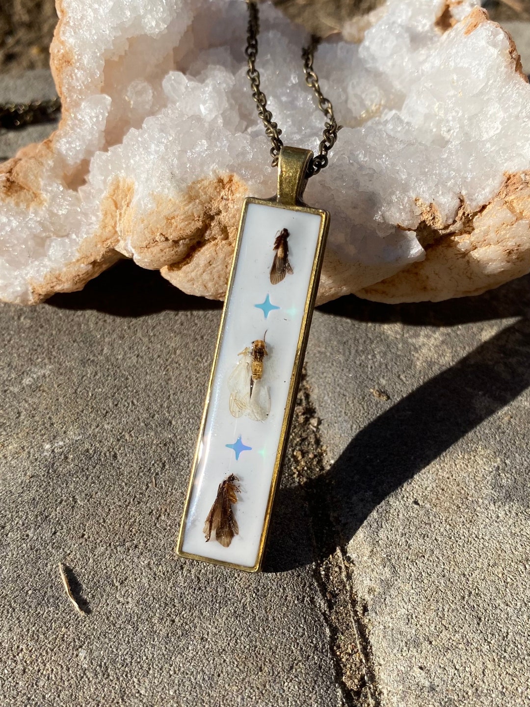 Real Insect Specimen in Resin Necklace Angels Handmade Oddities Nature ...