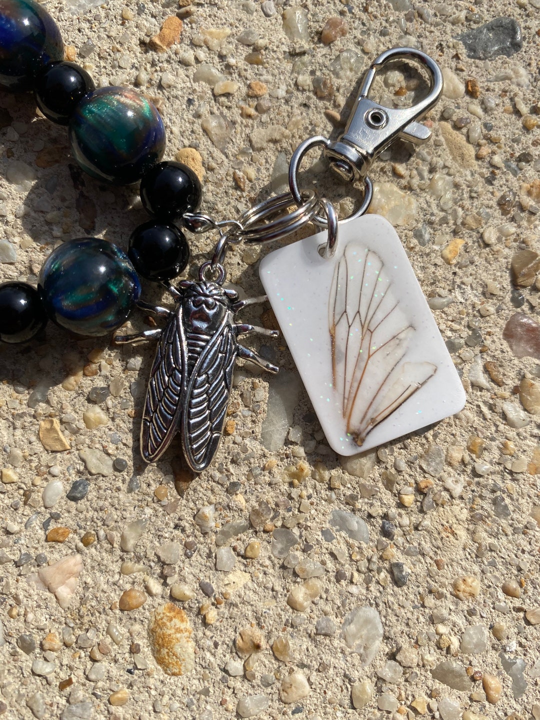 Real Insect Specimen in Resin Keychain Cicada Wing Fairy Wings Nature ...