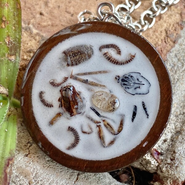 Real Insect Jewelry - Etsy