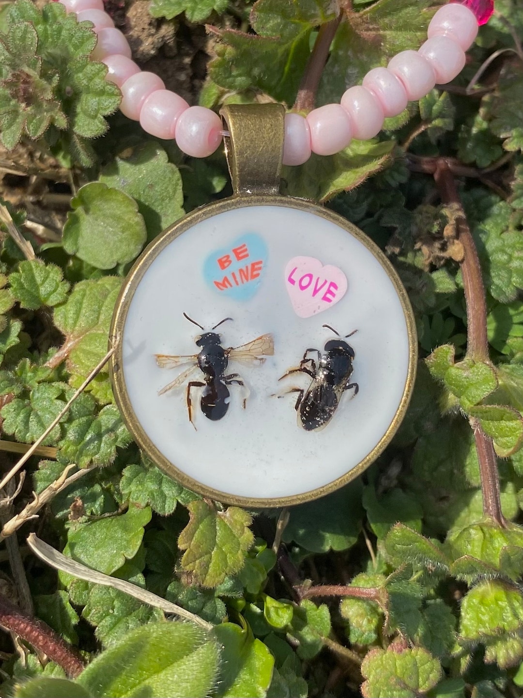 SALE Real Insect Specimen Resin Beaded Necklace Fairies Valentines ...