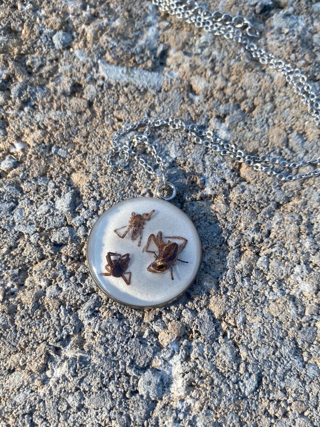 Real Insect Specimen in Resin Spiders Handmade Oddities Fairycore ...